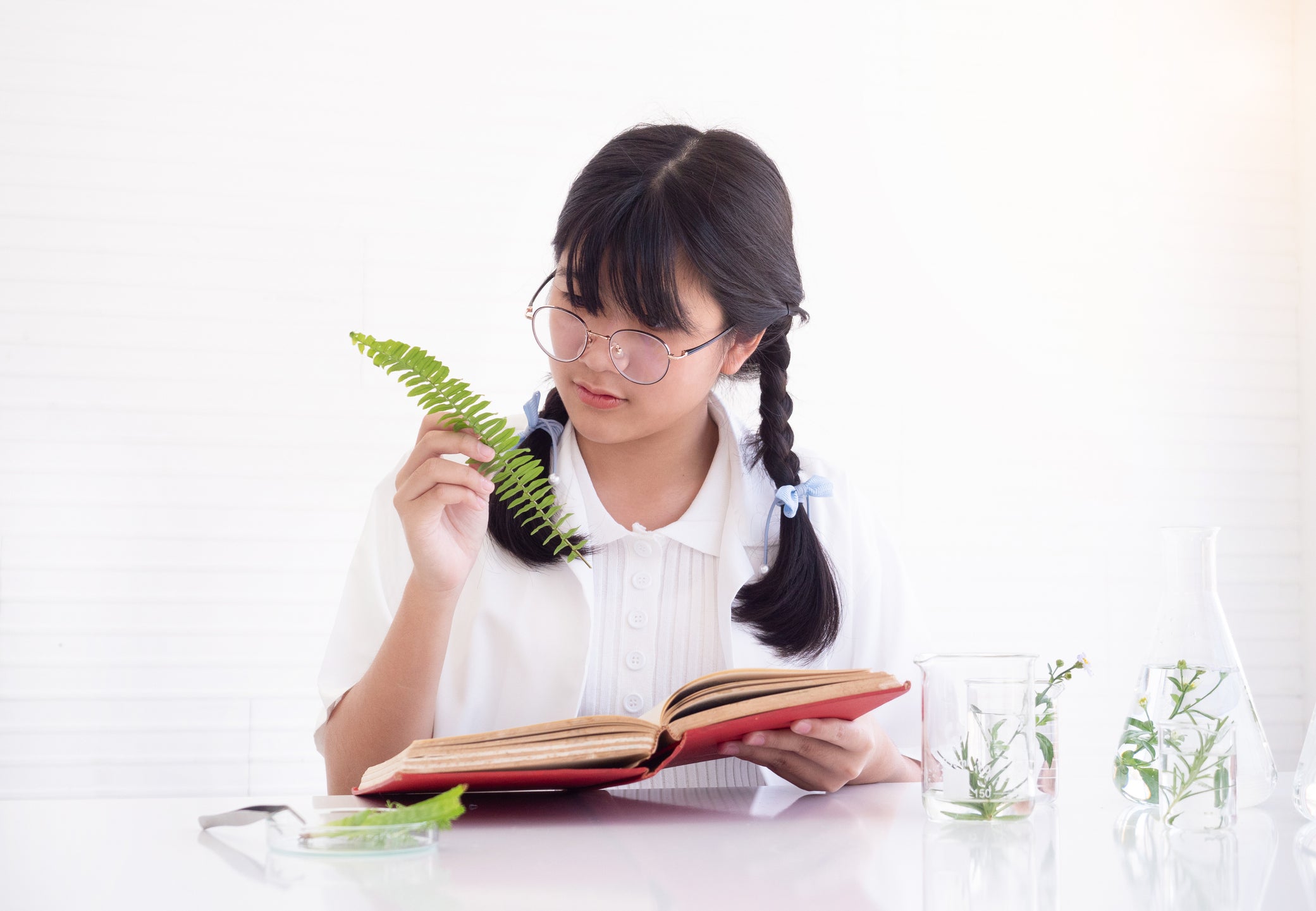 Head Start to P3 Science Skills | The Learning Lab