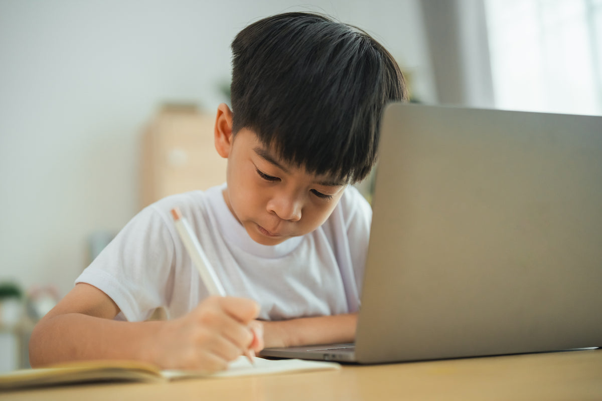 P205+P206 Python Junior 1+2 (Accelerated) – The Learning Lab